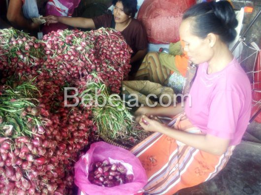 The Profession of Peeling Onions - Bebeja Daily